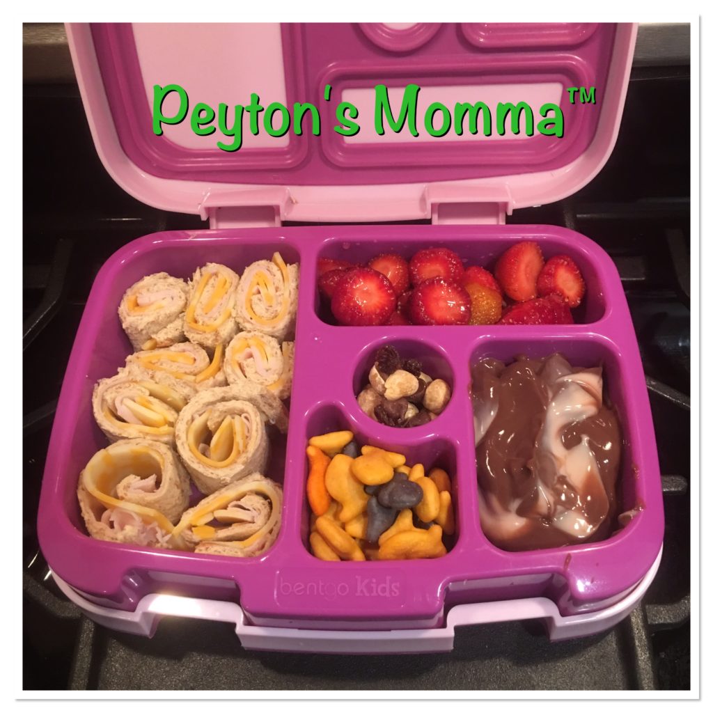 Turkey and Cheese Sushi Bento Box - Peyton's Momma™