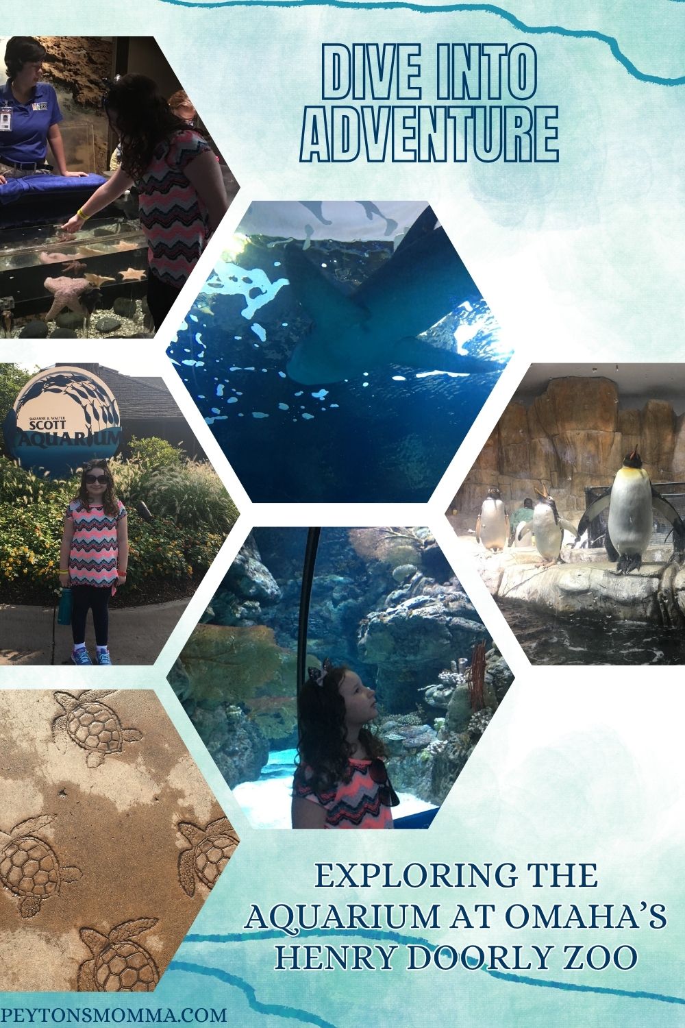 Dive into Adventure: Exploring the Aquarium at Omaha’s Henry Doorly Zoo ...